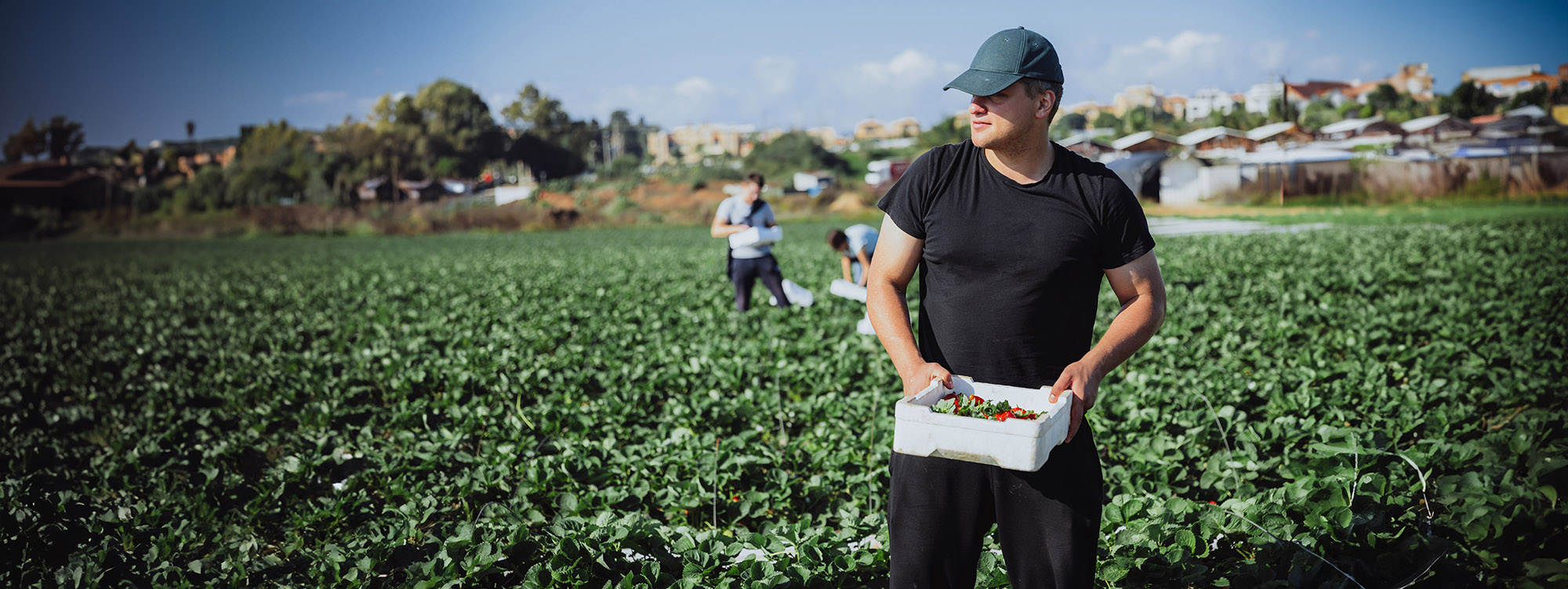 Masa Tlalim Volunteering Across Israel - Tlalim Group Projects